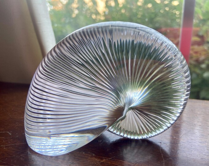 Beautiful Baccarat Crystal Nautilus Shell Medium 4" Paperweight - Etsy