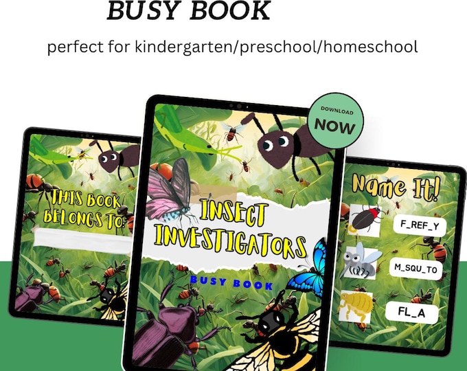 Insect Match and Sort Activity Pages, Insect Nature Theme, Montessori ...