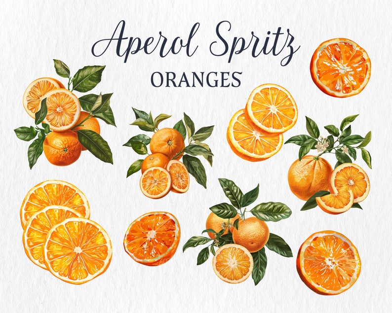 Watercolor Aperol Spritz Clipart | Transparent Background Pngs ...