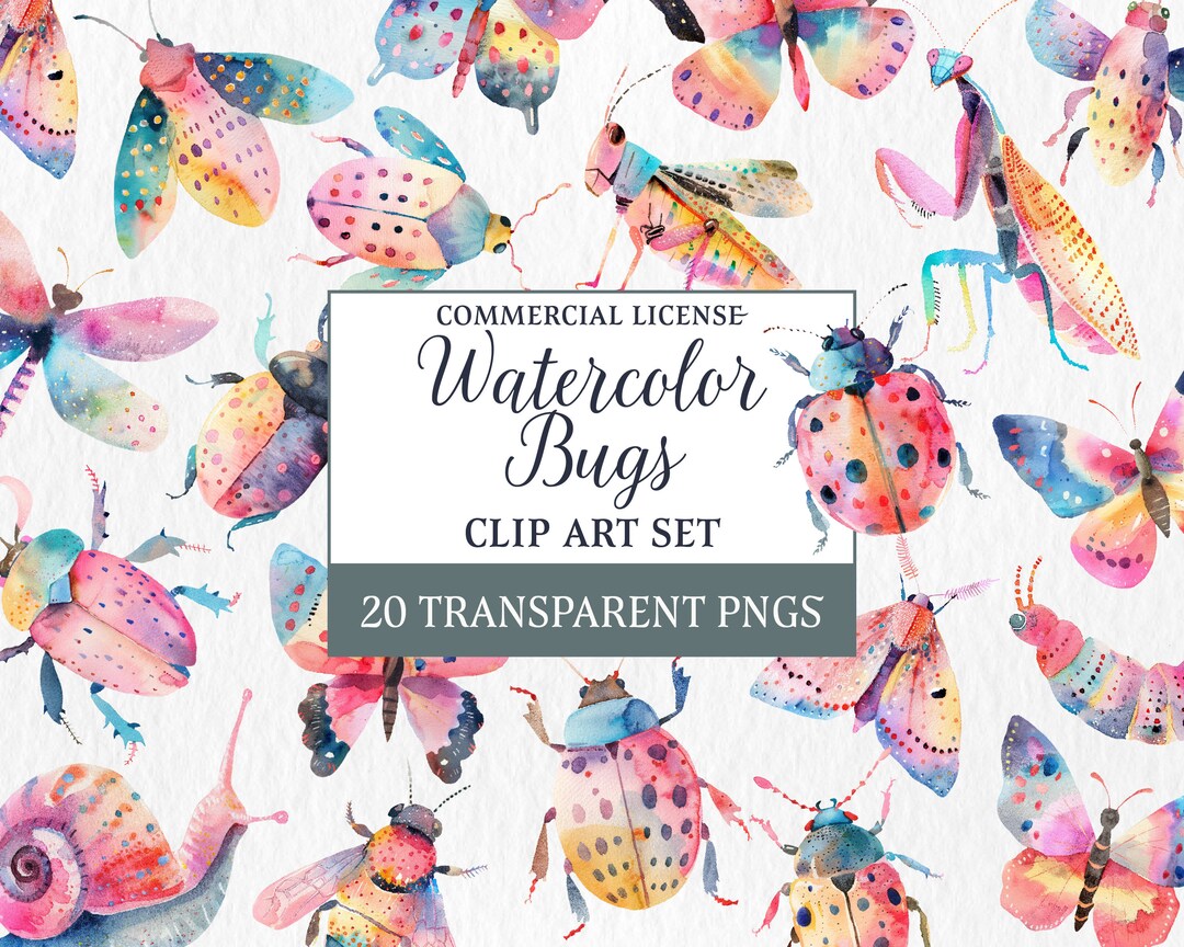 Watercolor Bugs Clipart | Transparent Background Pngs Commercial Use ...