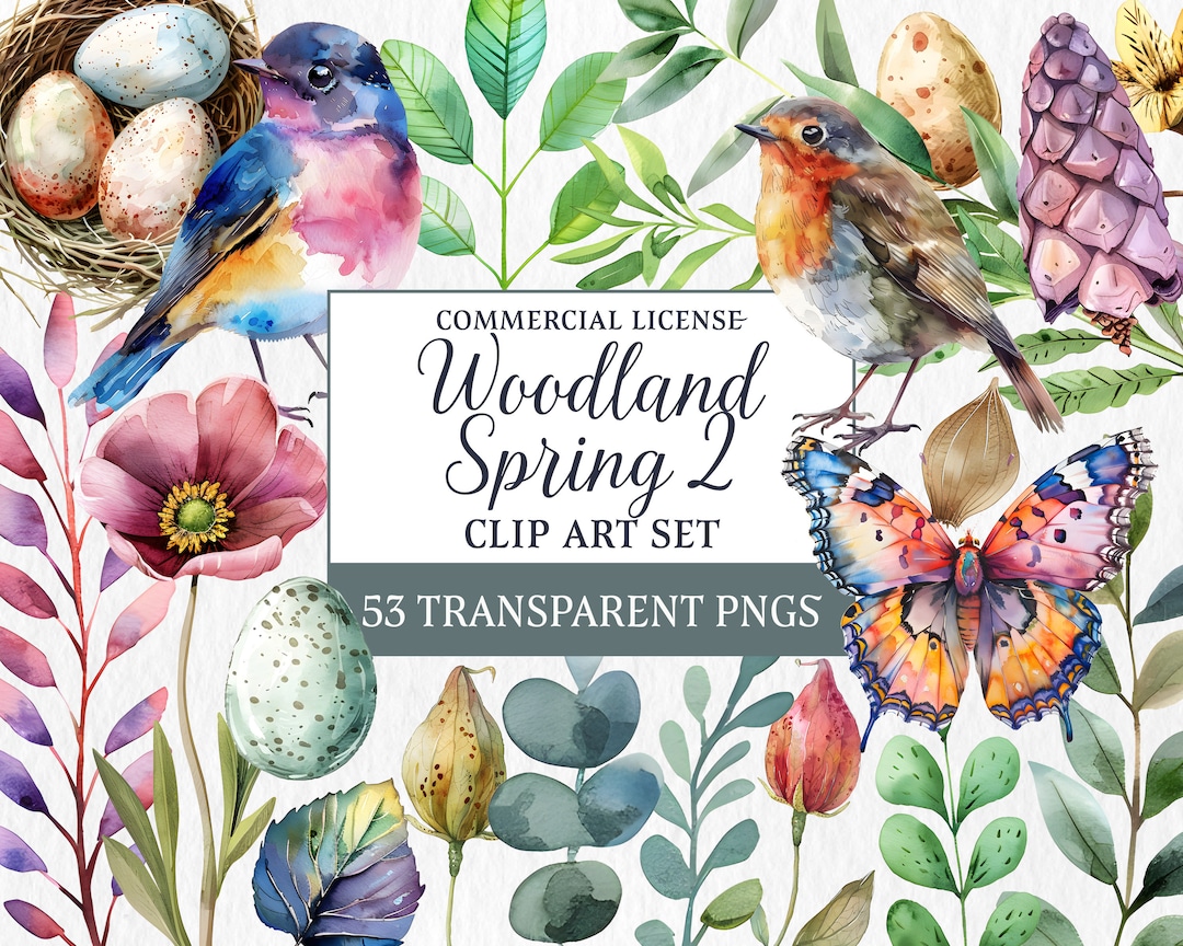 Woodland Spring Clipart 2 | Spring Clip Art | Erster Geburtstag | Bird ...