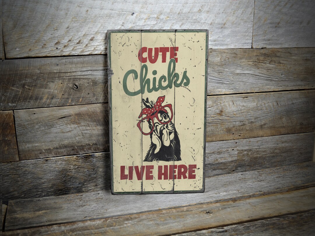 Cute Chicks Live Here Sign, Chicken Coop Decor, Farmhouse Sign, Farmer ...