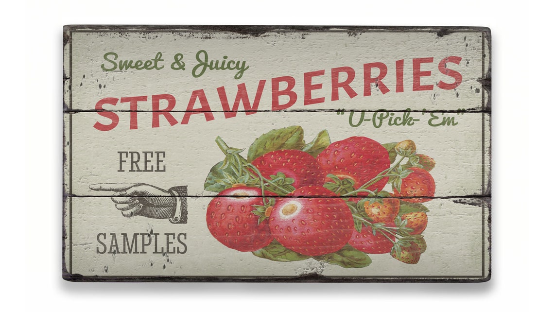 Free Samples Sign, Juicy Strawberries, Strawberry Sale Sign, Berry Sign ...