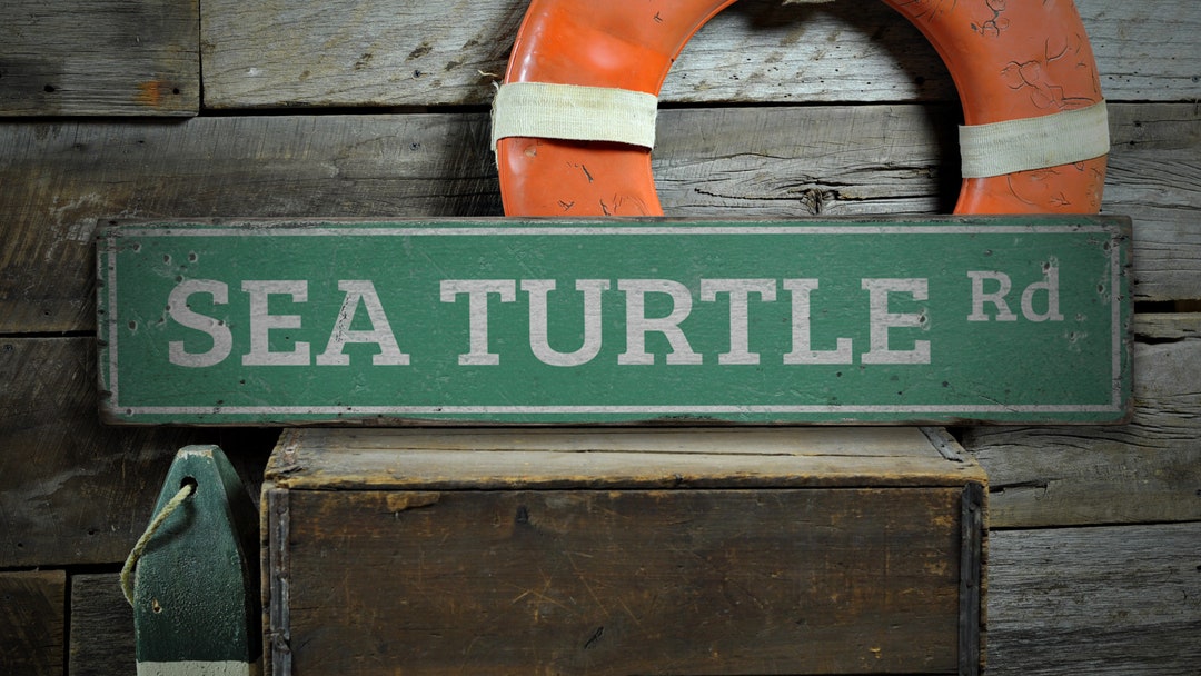Sea Turtle Sign, Beach House Decor, Sea Turtle Gift, Sea Animal Present ...