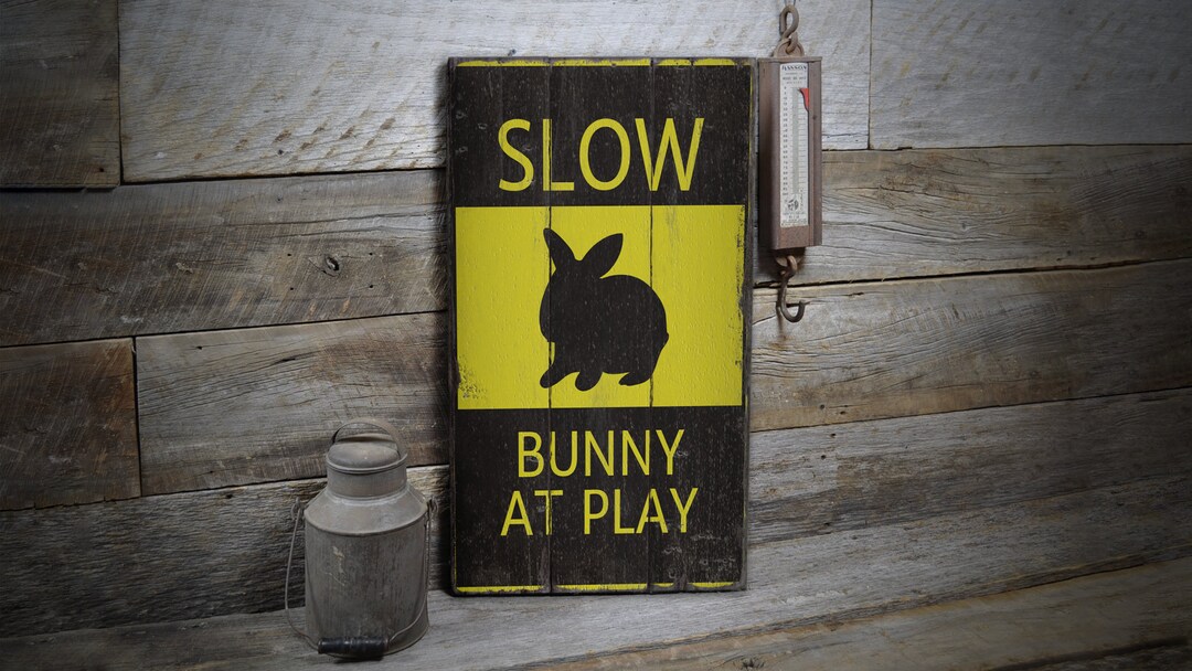 Slow Bunny Sign, Bunny Owner Sign, Bunny Lover Decor, Bunny Wood Signs ...