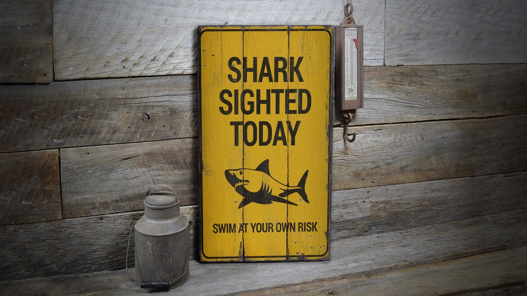 Shark Sighted Today Sign, Rustic Shark Sign, Shark Warning Sign ...