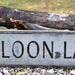 Personalized Lake Sign With Loons Lake House Sign Rustic Hand Made ...