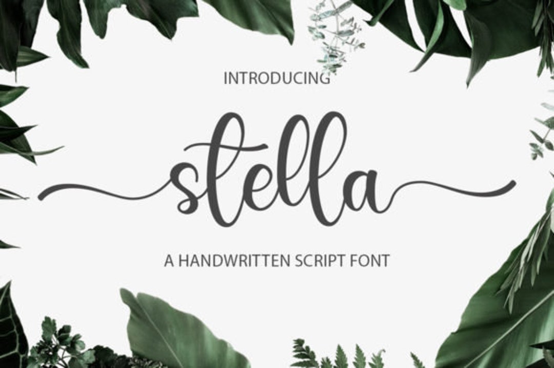 Stella Font, Handwritten Font, Cricut Font, Casual Font, Modern Font ...