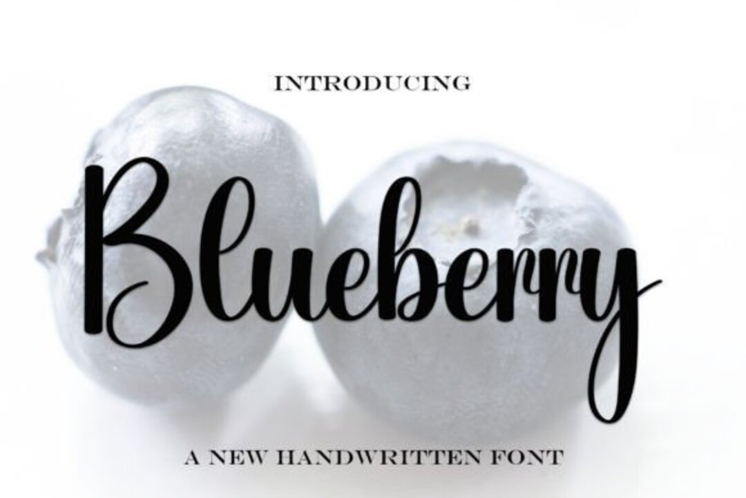 Blueberry Font, Font With Tails, Wedding Font, Modern Font, Thin Font ...