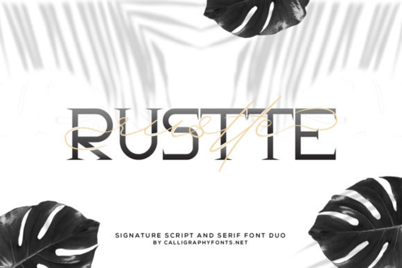 Rustte Font, Display Font, Modern Font, Cricut Font, Font Bundle for Cricut, Cursive Fonts ...