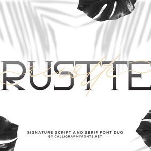 Rustte Font, Display Font, Modern Font, Cricut Font, Font Bundle for Cricut, Cursive Fonts ...
