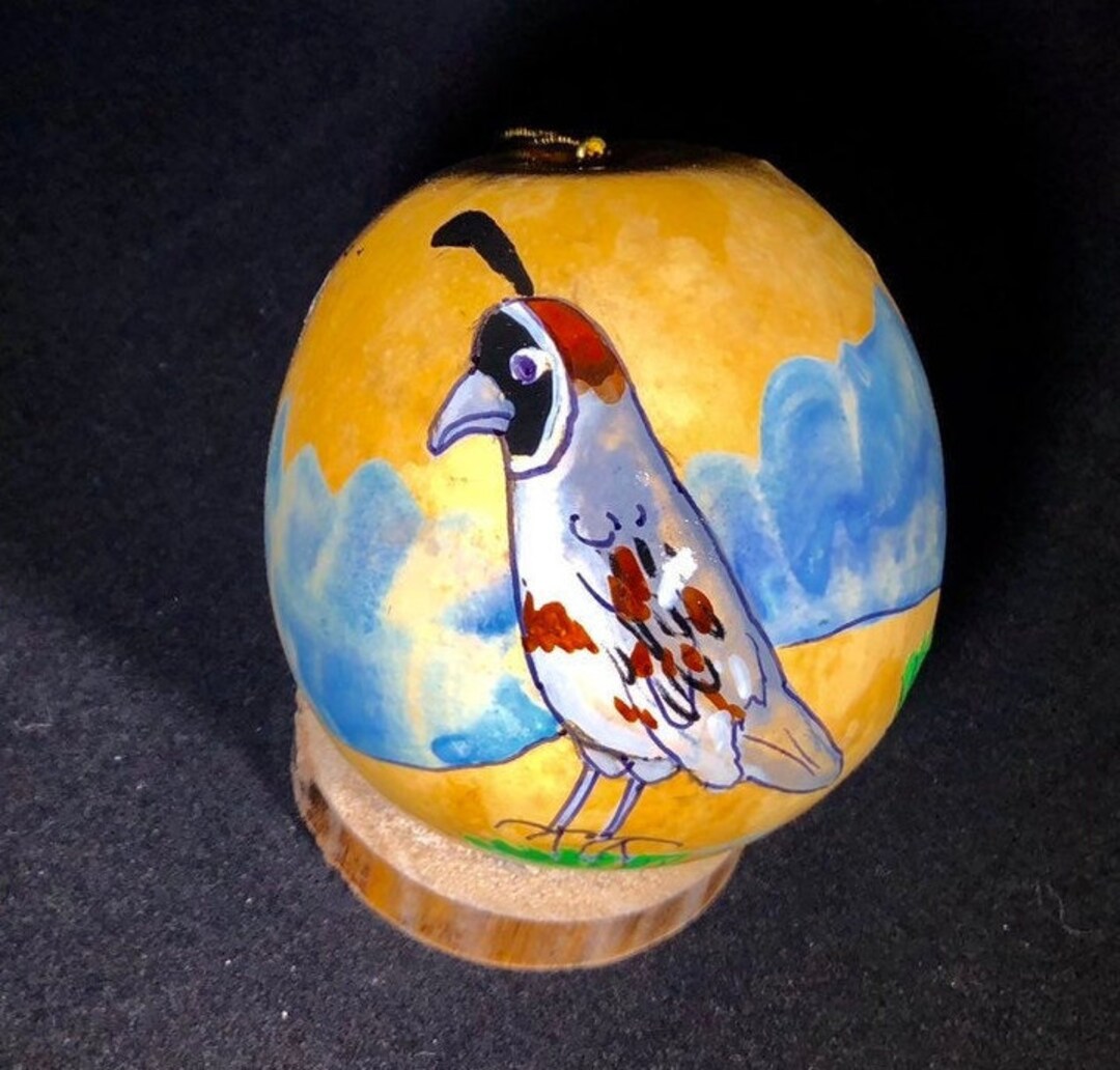 Gamble's Quail Gourd, Hand Painted Gourd Ornament, Christmas Ornament ...