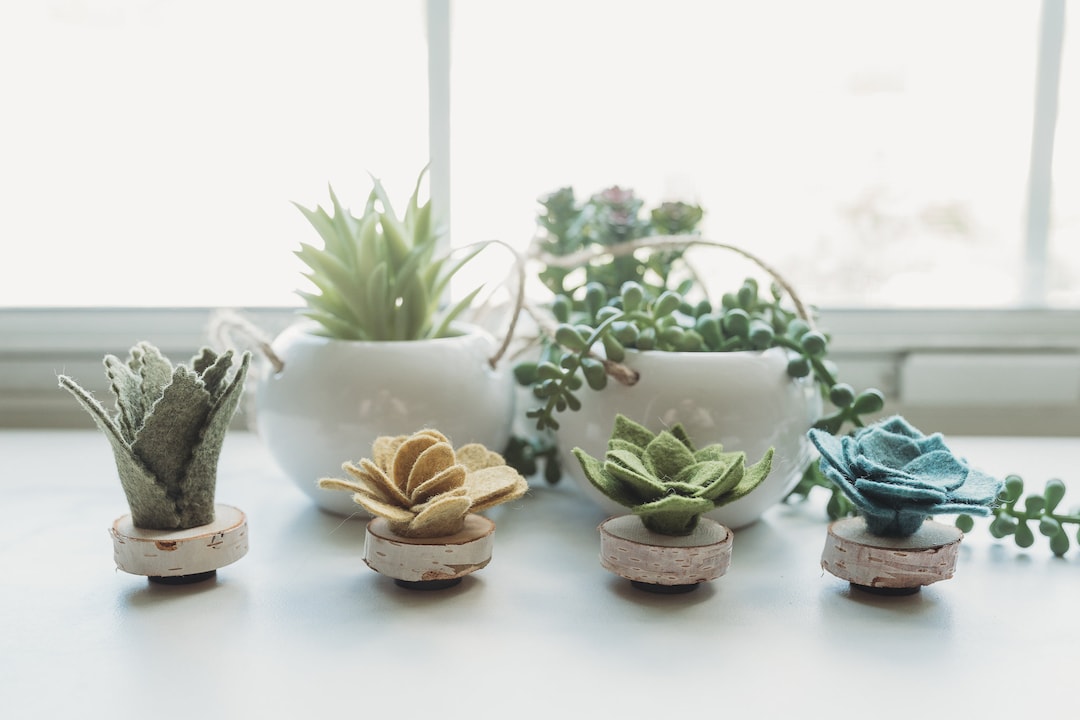 Felt Succulent Magnets - Set of 4 - Etsy