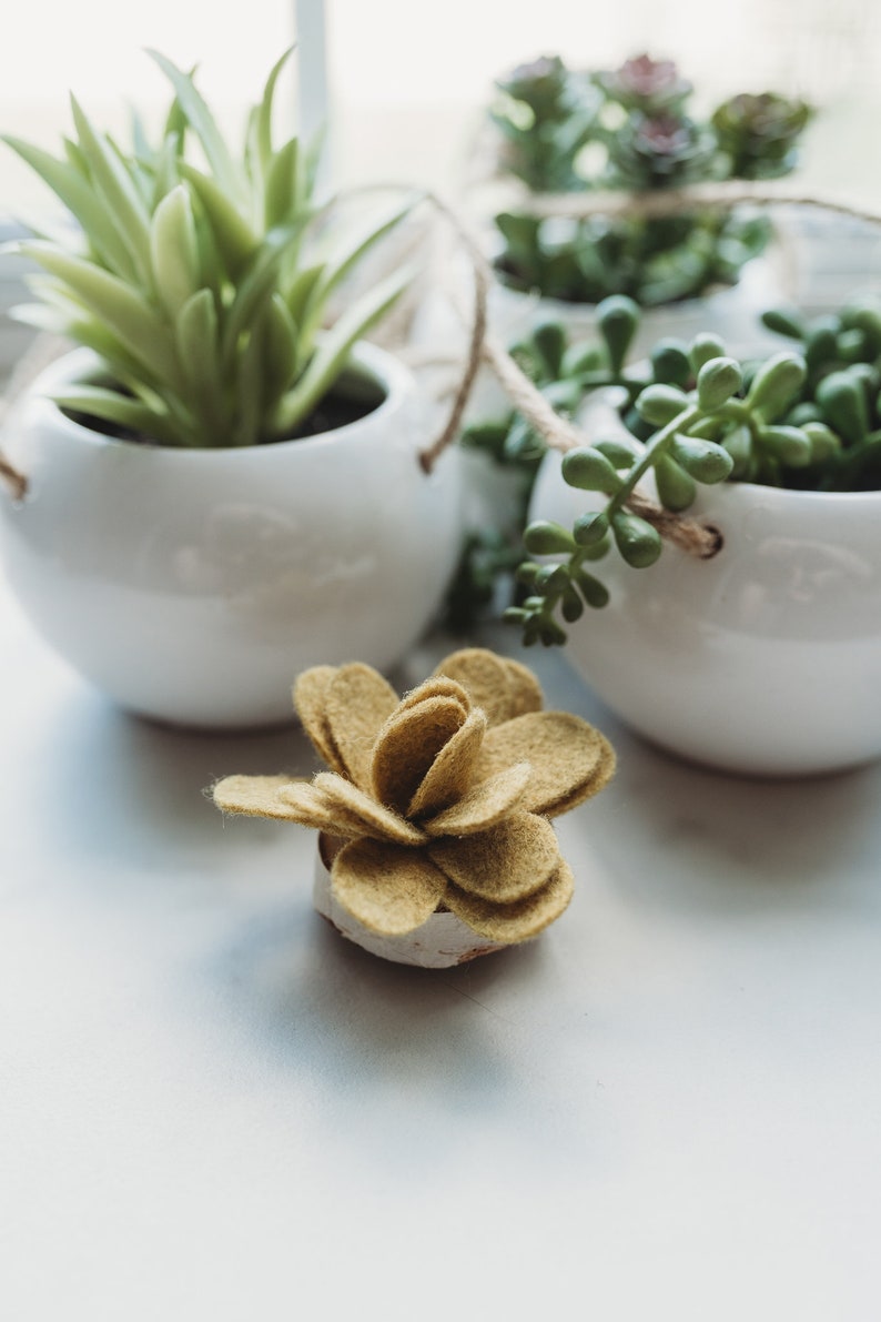 Felt Succulent Magnets Set of 4 | Etsy