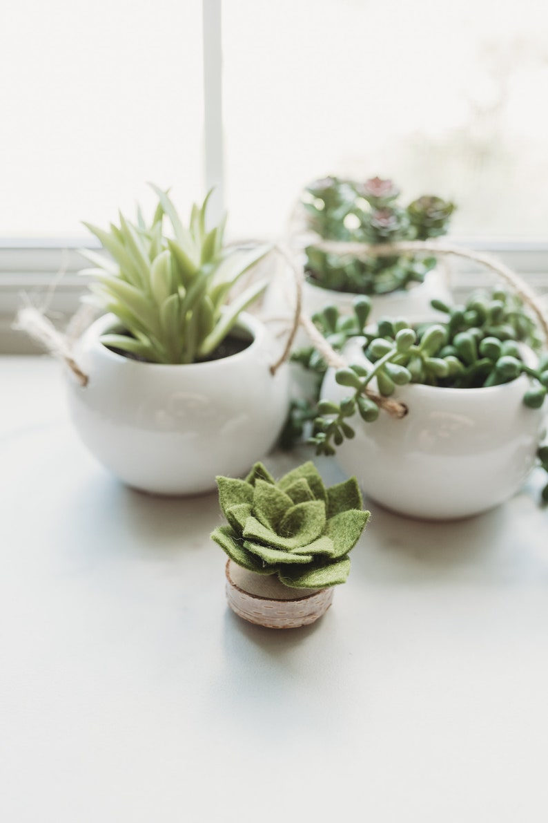 Felt Succulent Magnets Set of 4 | Etsy