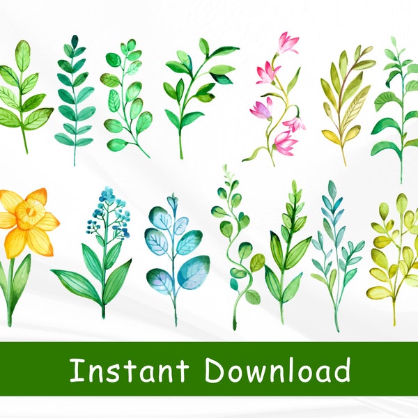 Water Color Clip Art - Etsy