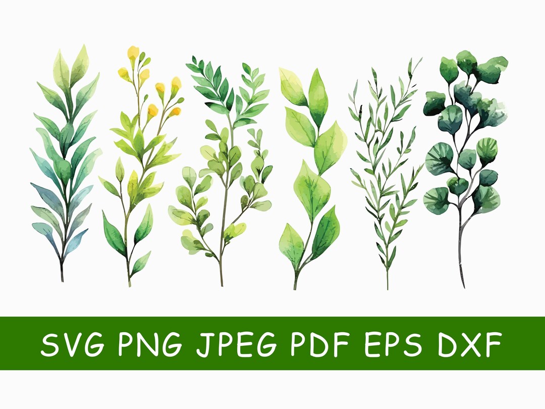Greenery Watercolor Clipart , Leaves Svg Bundles, Plant Svg, Watercolor ...