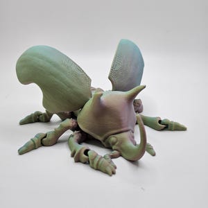 Rhinoceros Beetle 3D Printed Articulated Flexi Fidget Toy Model. Moving ...