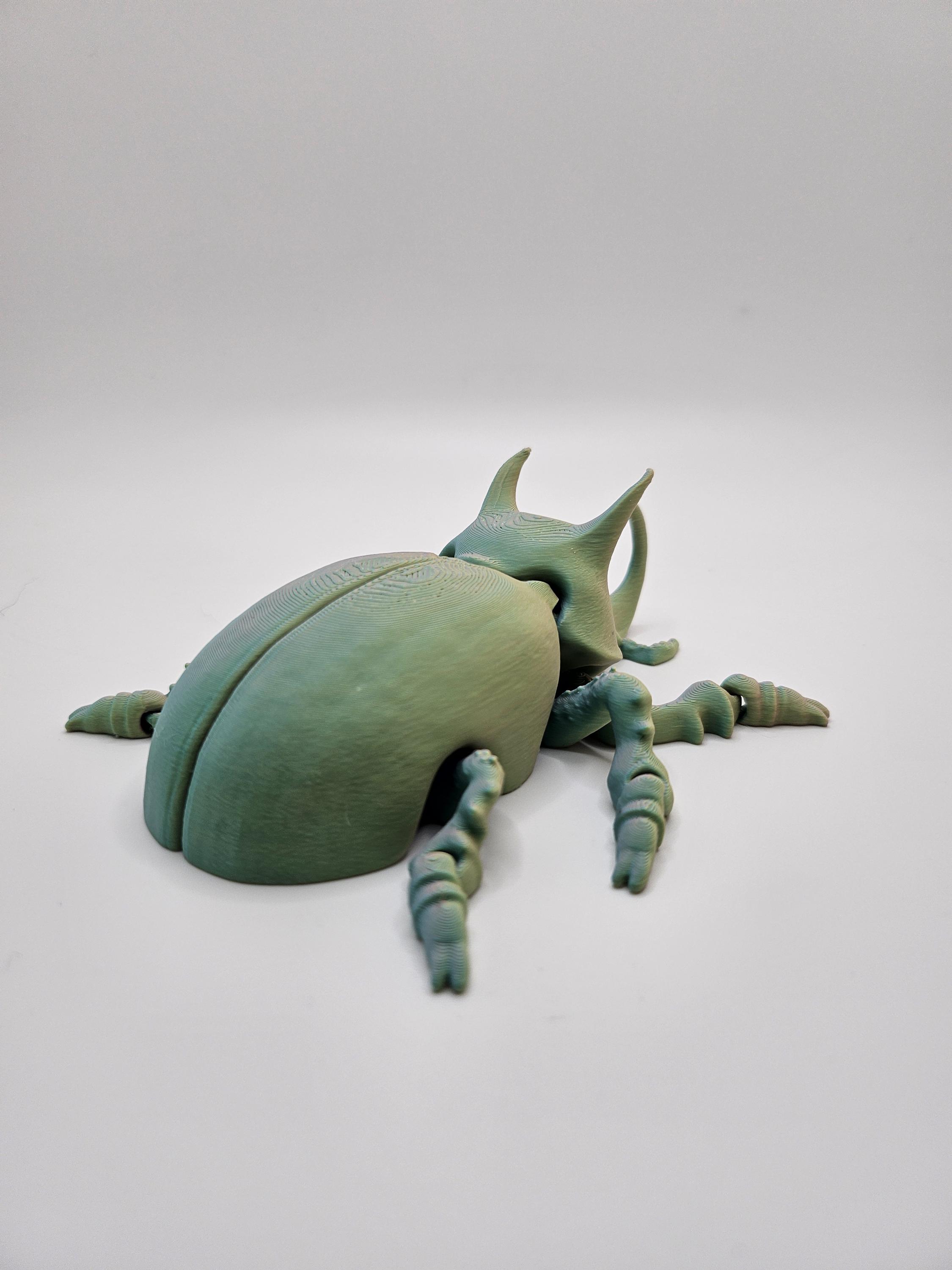 Rhinoceros Beetle 3D Printed Articulated Flexi Fidget Toy Model. Moving ...