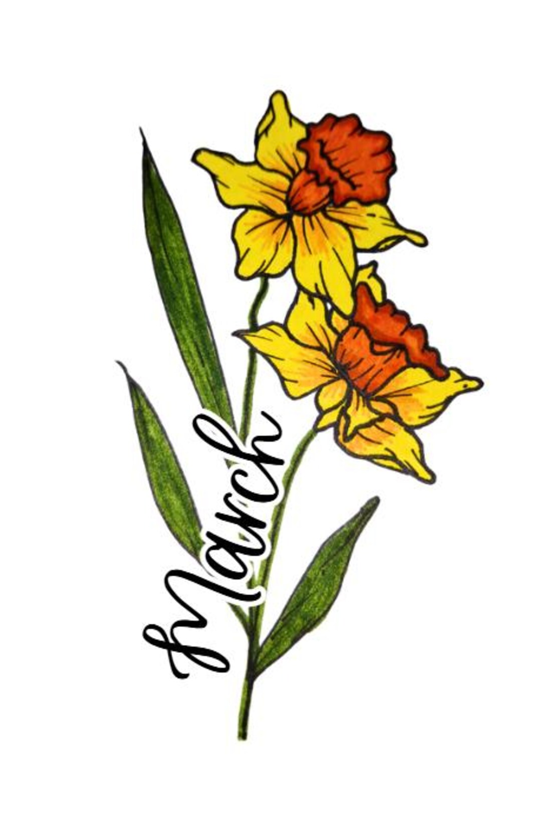 Birth Flower Monogram - March - Daffodil - Etsy