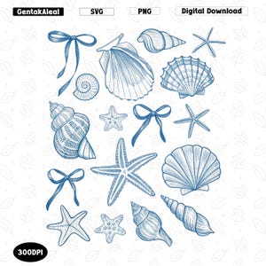 Coquette Seashell PNG, Beach Png, Coastal Png, Retro Summer Png, Summer ...