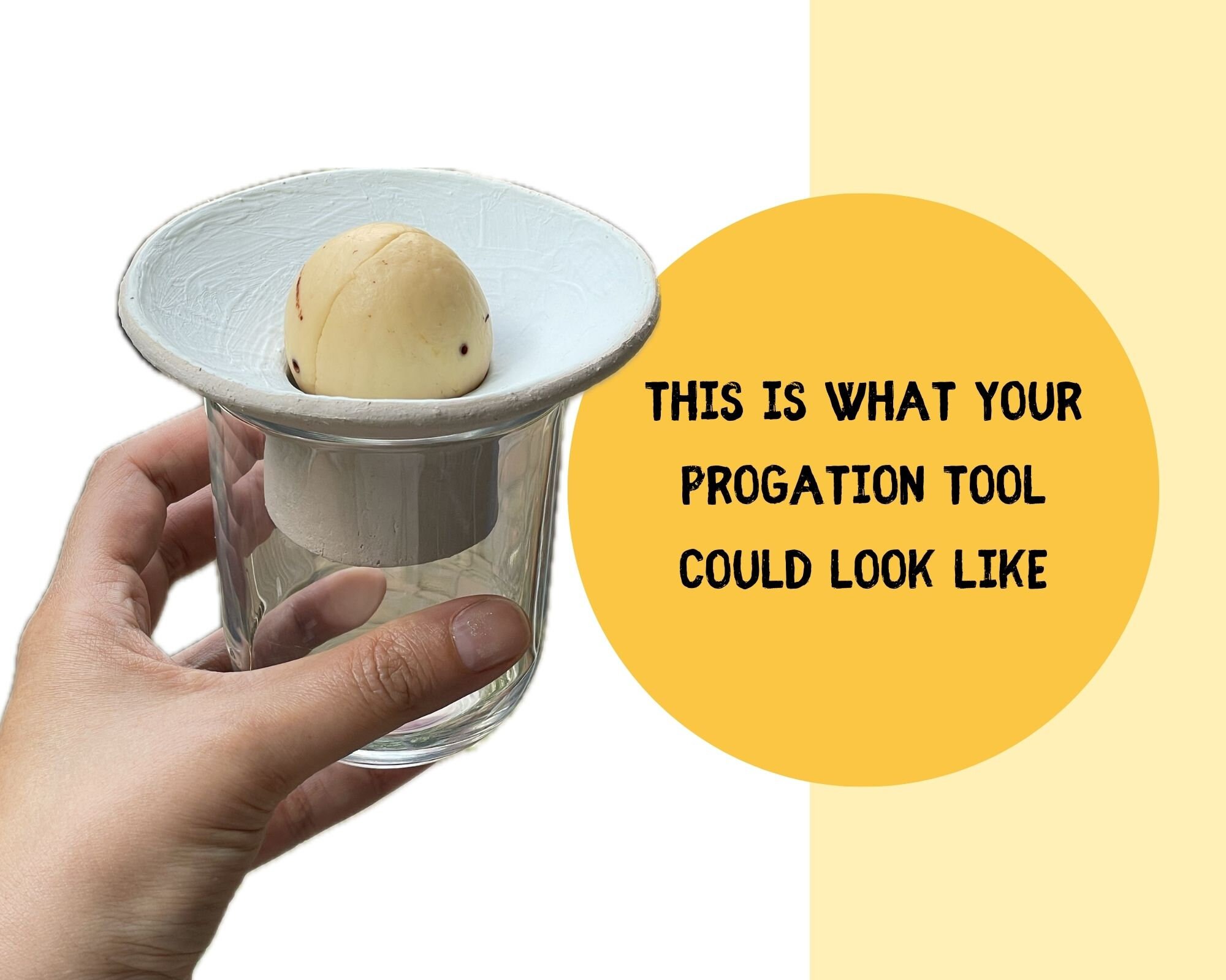 Avocado Propagation Tool Template DIY Ceramics Stencil Pottery Crafts ...