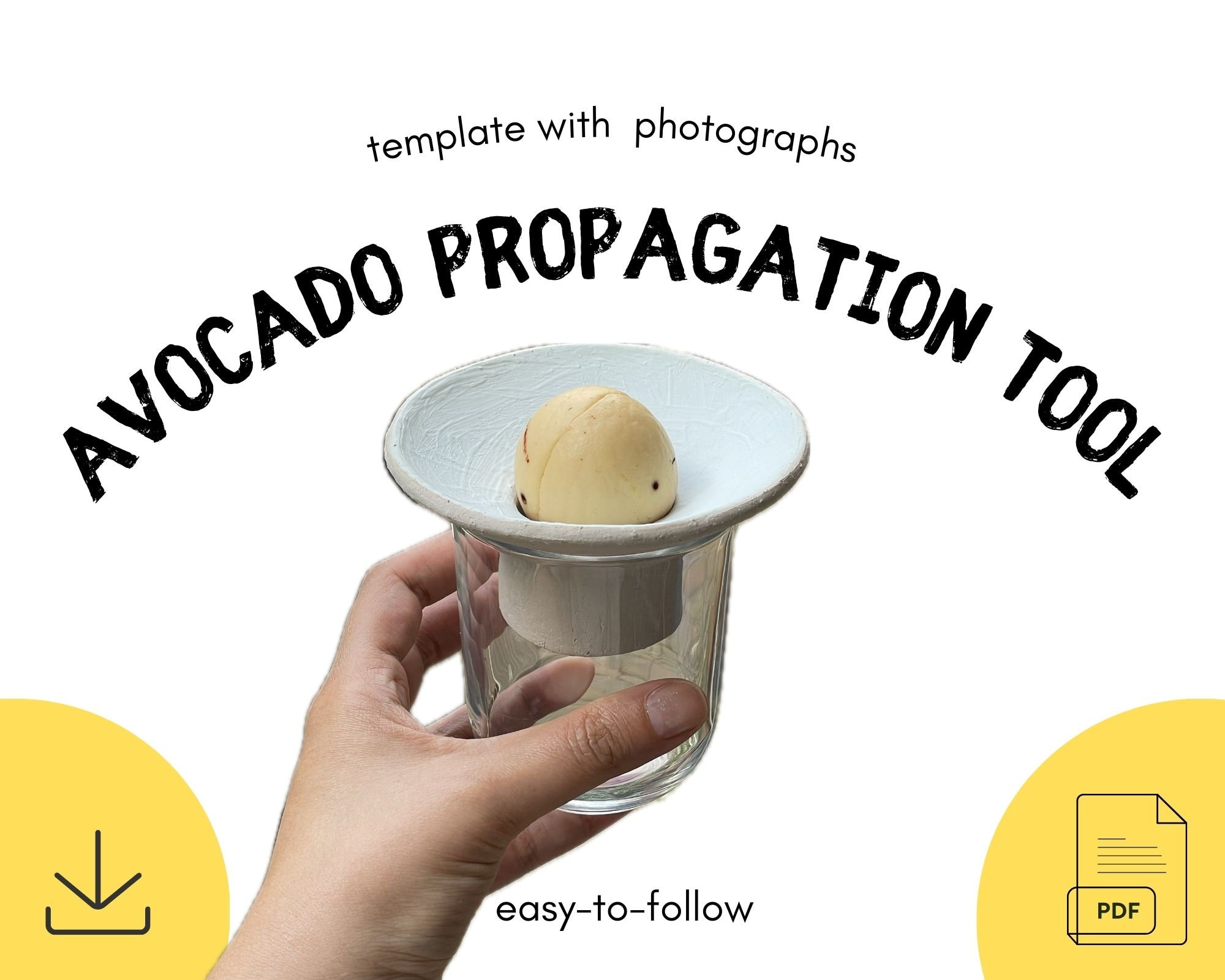 Avocado Propagation Tool Template DIY Ceramics Stencil Pottery Crafts ENGLISH - Etsy