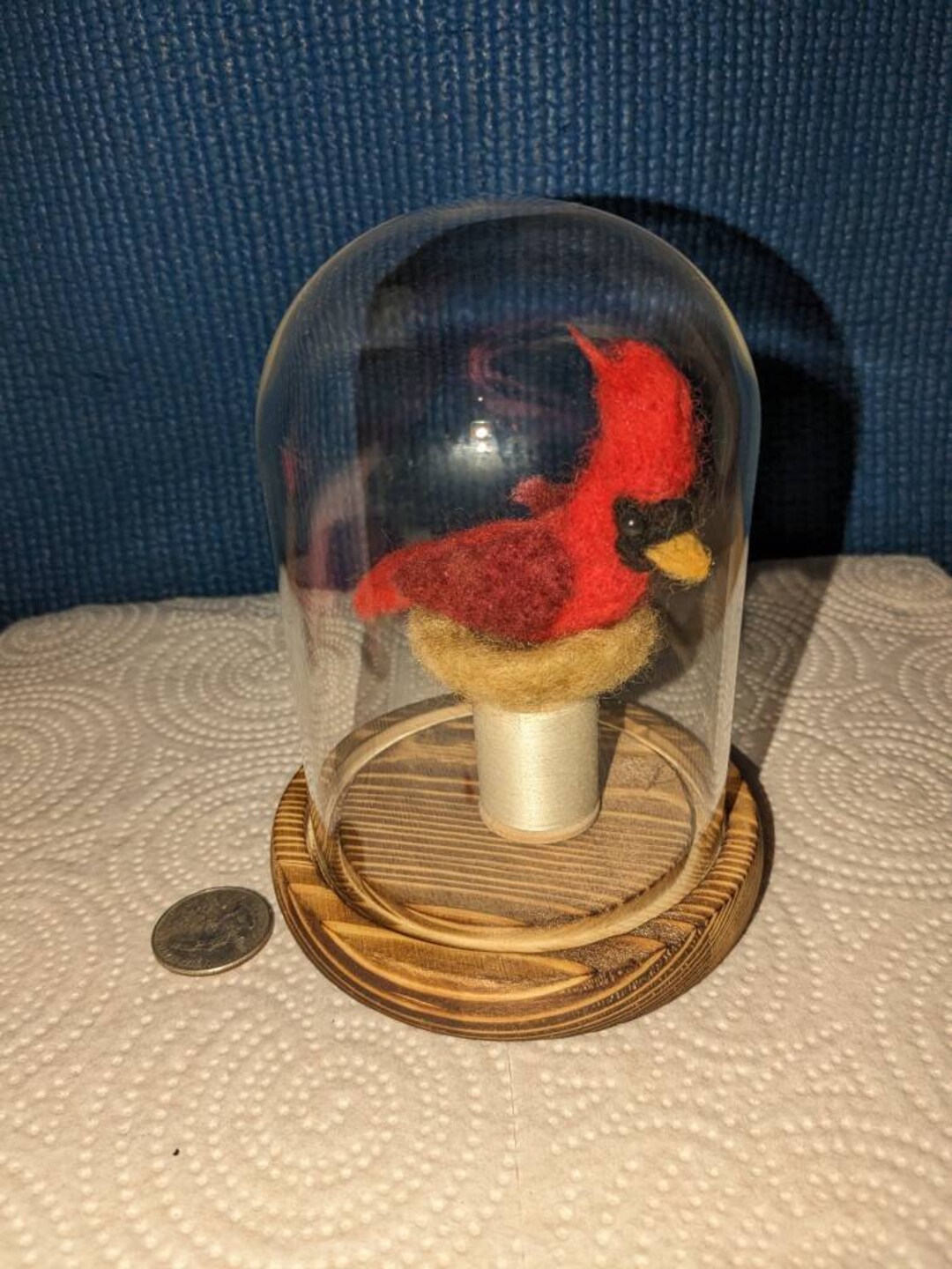 Whimsical Needlefelted Cardinal in Spool in Cloche Dome - Etsy