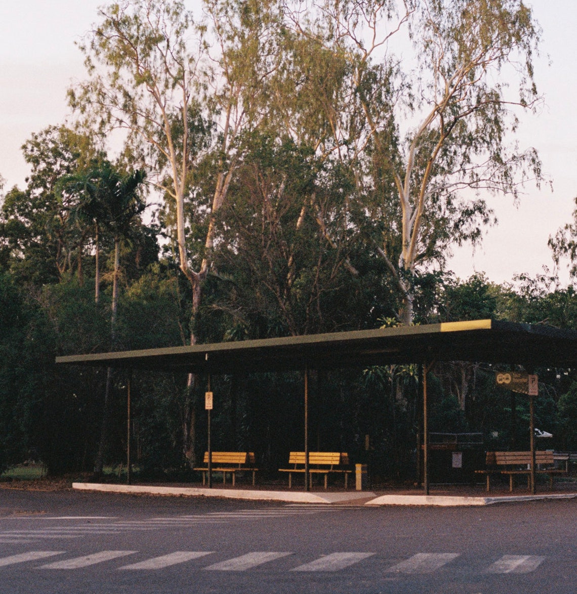 Tropical Transit - Colour Film Photography Print - Digital Download - Etsy