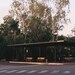 Tropical Transit - Colour Film Photography Print - Digital Download - Etsy