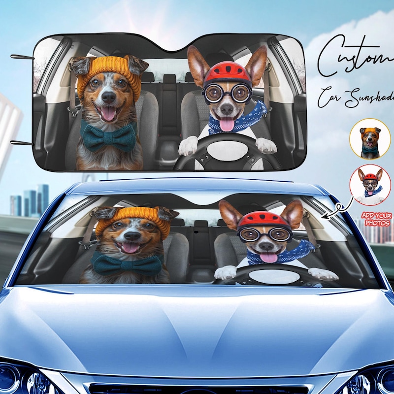 Car Windshield Funny - Etsy