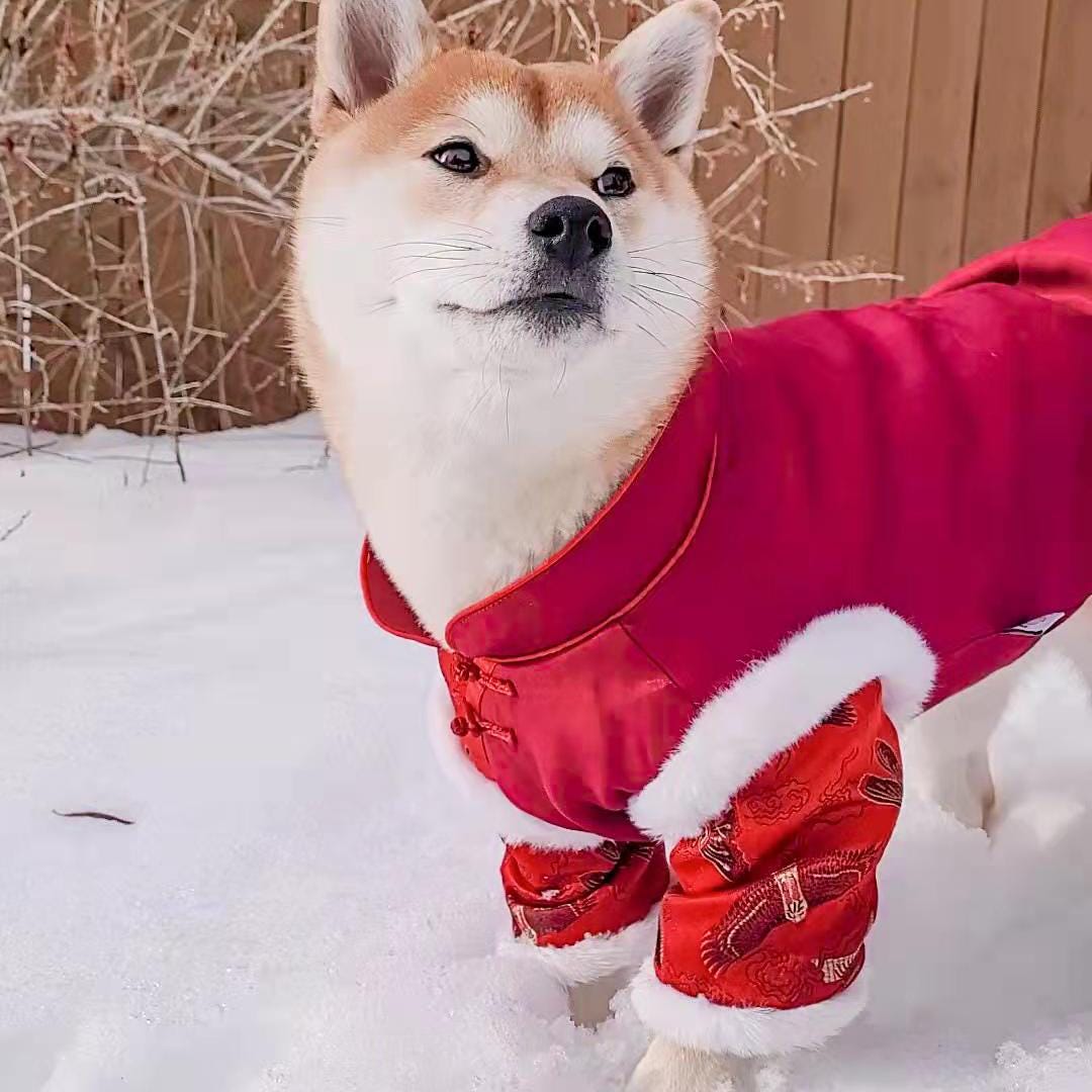 Qipao for Dog | Chinese New Year | Chinese Costume for Dog | Puppy ...