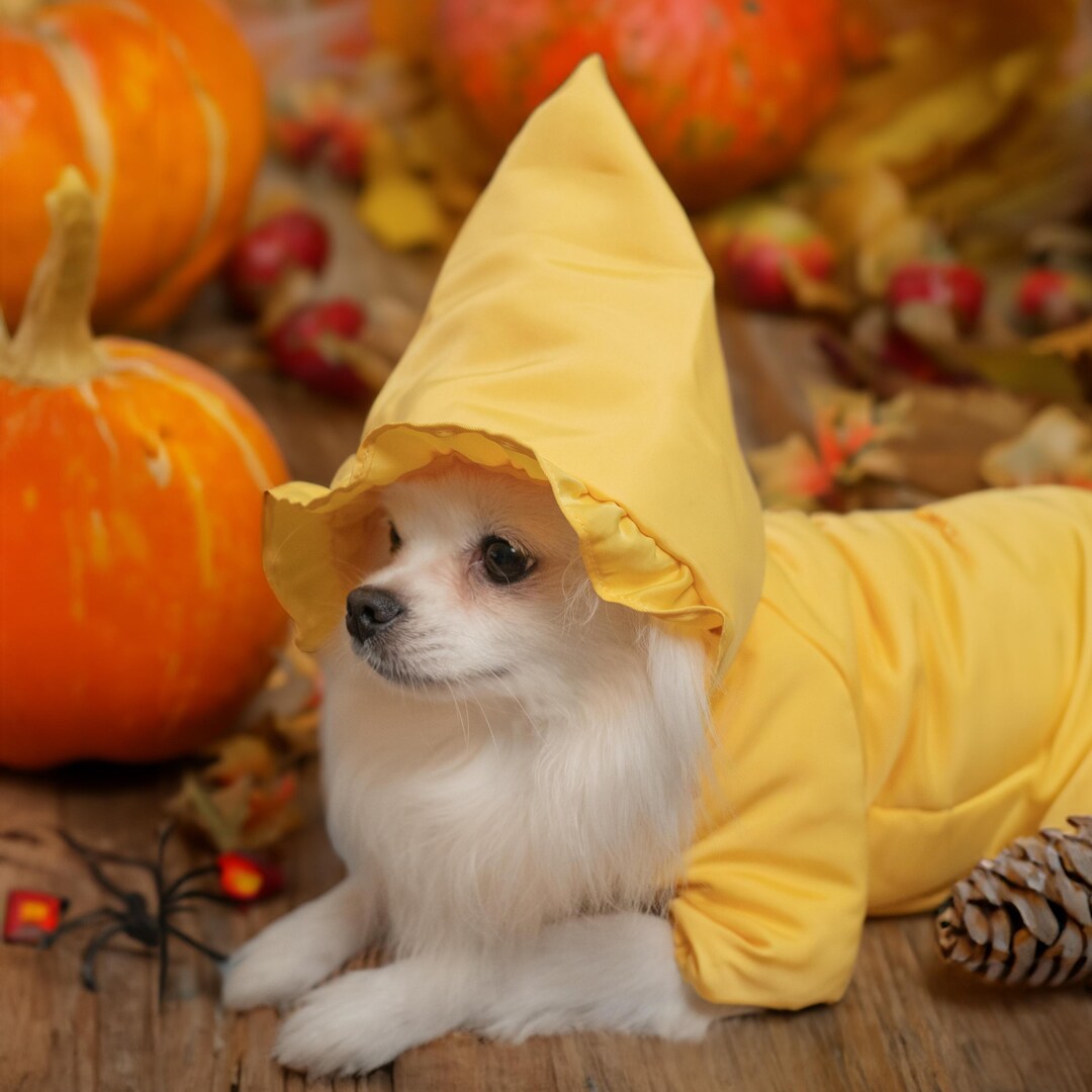 Halloween Dog Costume | Wizard Hood | Lightweight Coat for Dogs | Dog ...