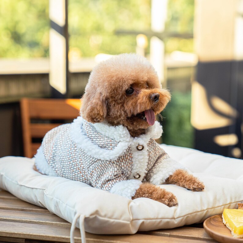 Pet Jacket | Small Dog Clothes | Luxury Holiday Dog Winter Coat | SML ...