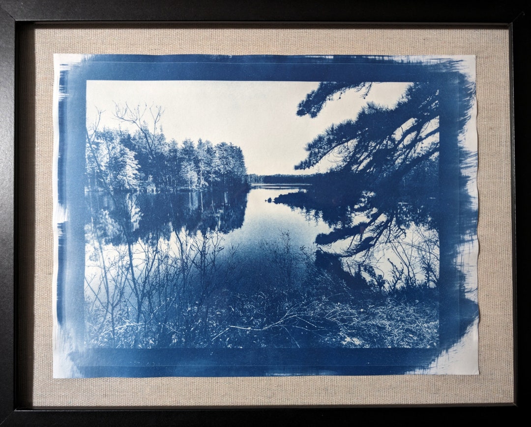 Cyanotype of the Pine Barrens 12x9 - Etsy
