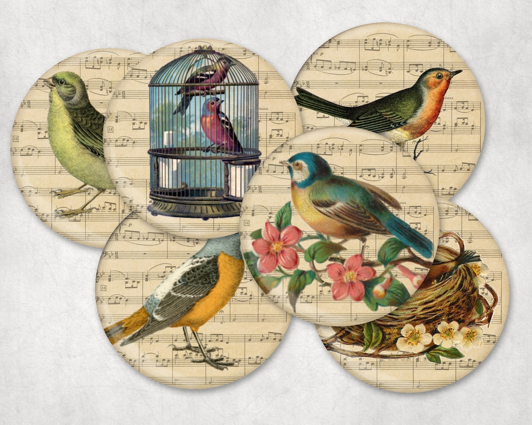 Set of Six Bird Magnets - Etsy