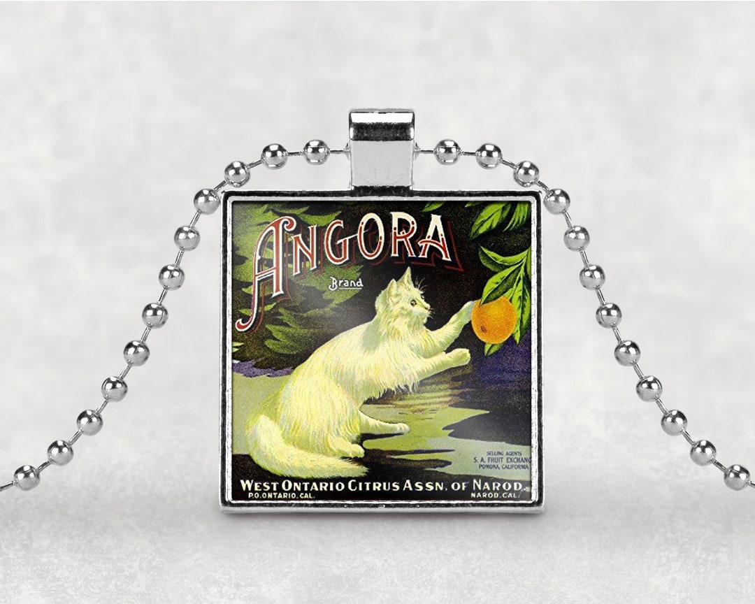One Inch Square Angora Cat Fruit Crate Label Pendant - Etsy