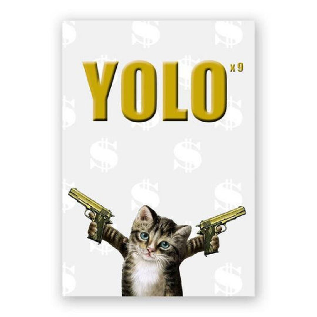 Yolo Cat - JOURNAL - Humor - Gift - Etsy