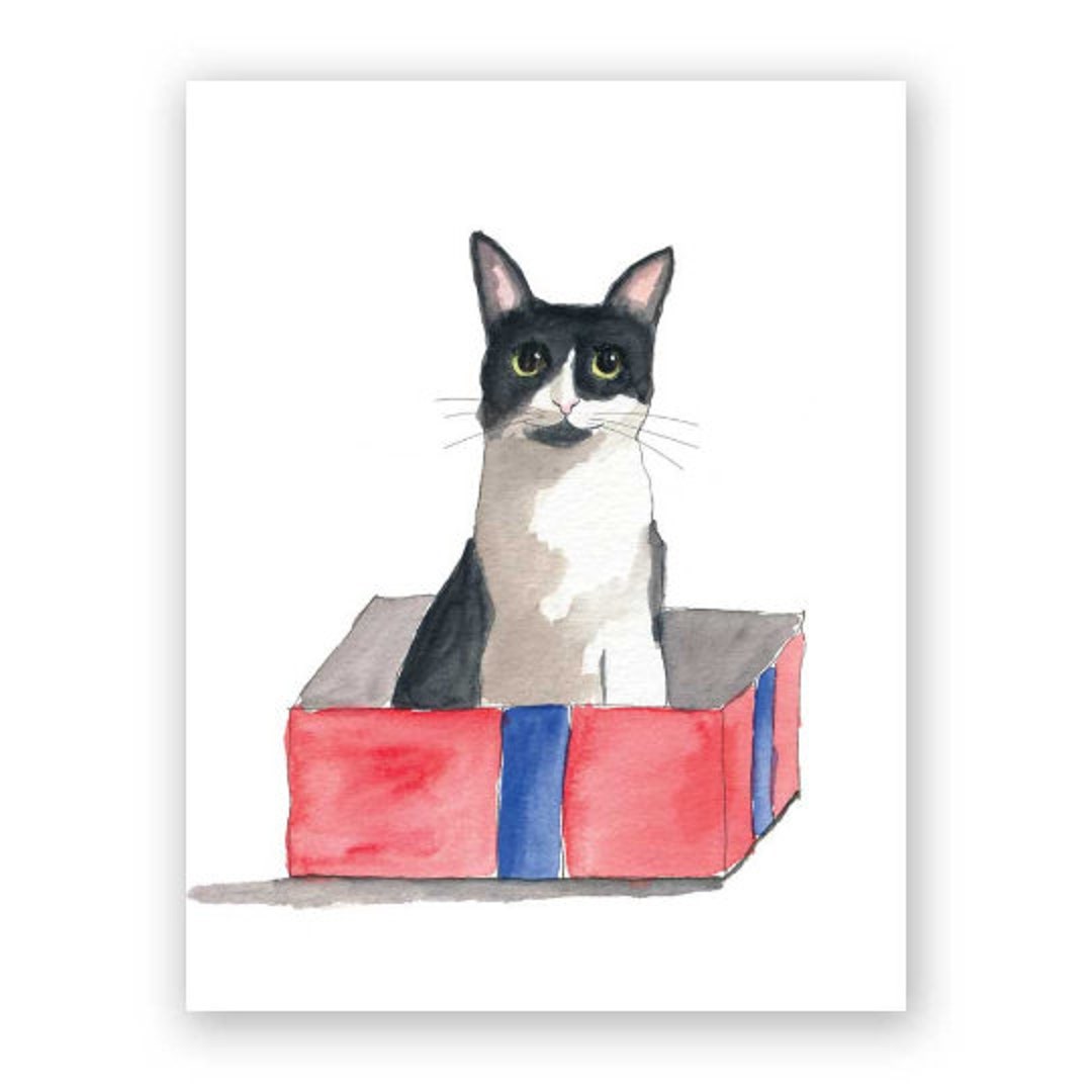 Box Cat Birthday Card - Etsy
