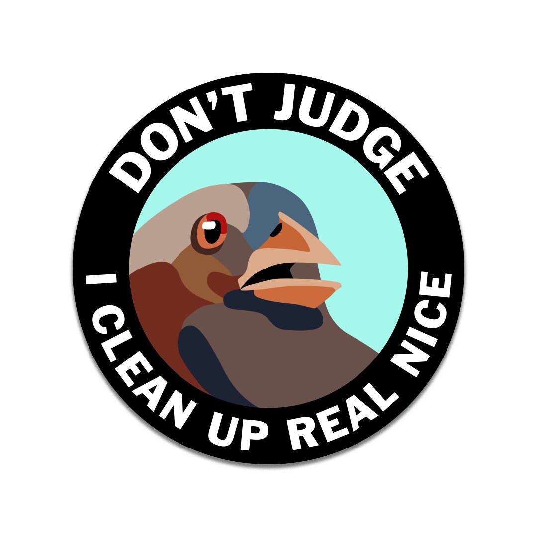 Don't Judge Sticker - Etsy