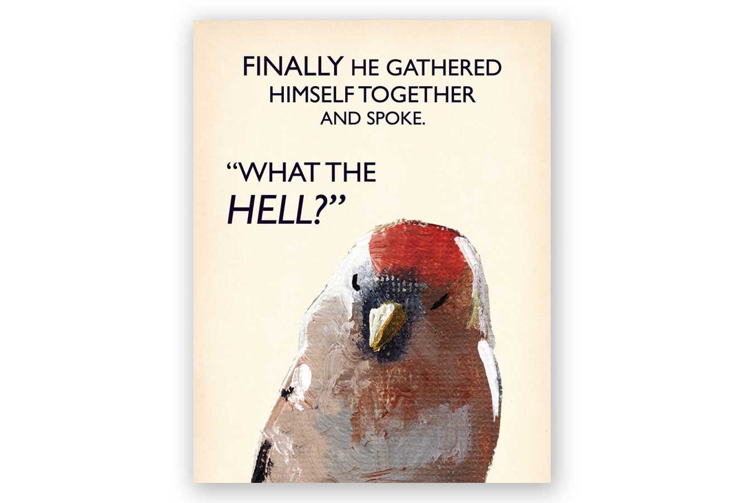 What the Hell? Card - Humor - Bird - Greeting - Stationery - Etsy