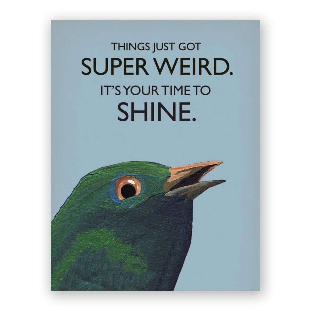 Things Just Got Super Weird Card - Bird - Greeting - Mincing ...