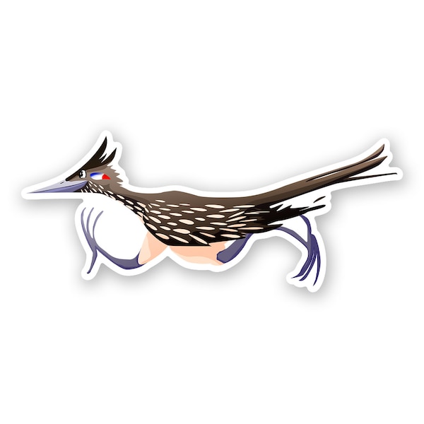 Roadrunner Stickers - Etsy