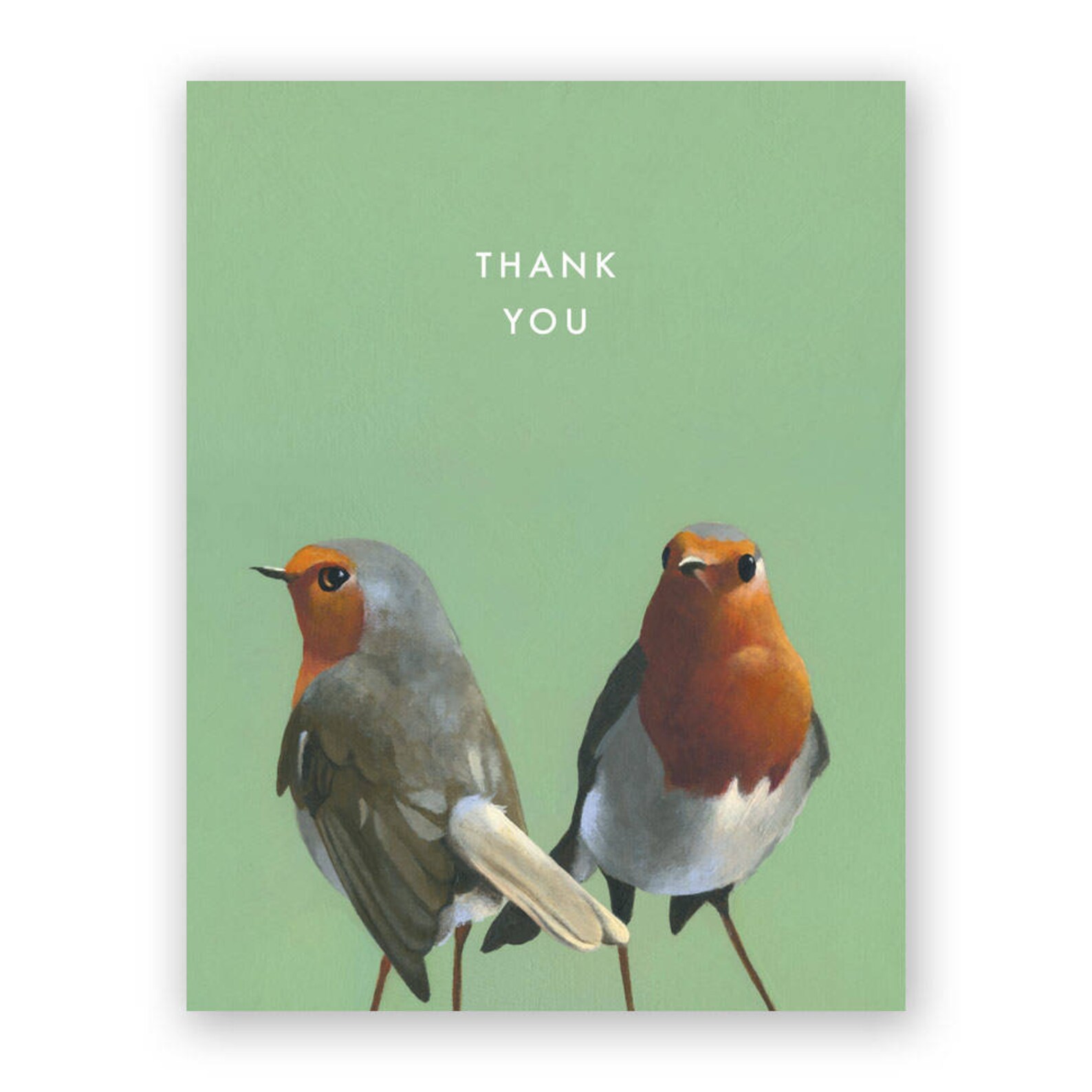 European Robin Thank You Card - Birds - Greeting - Stationery - Etsy