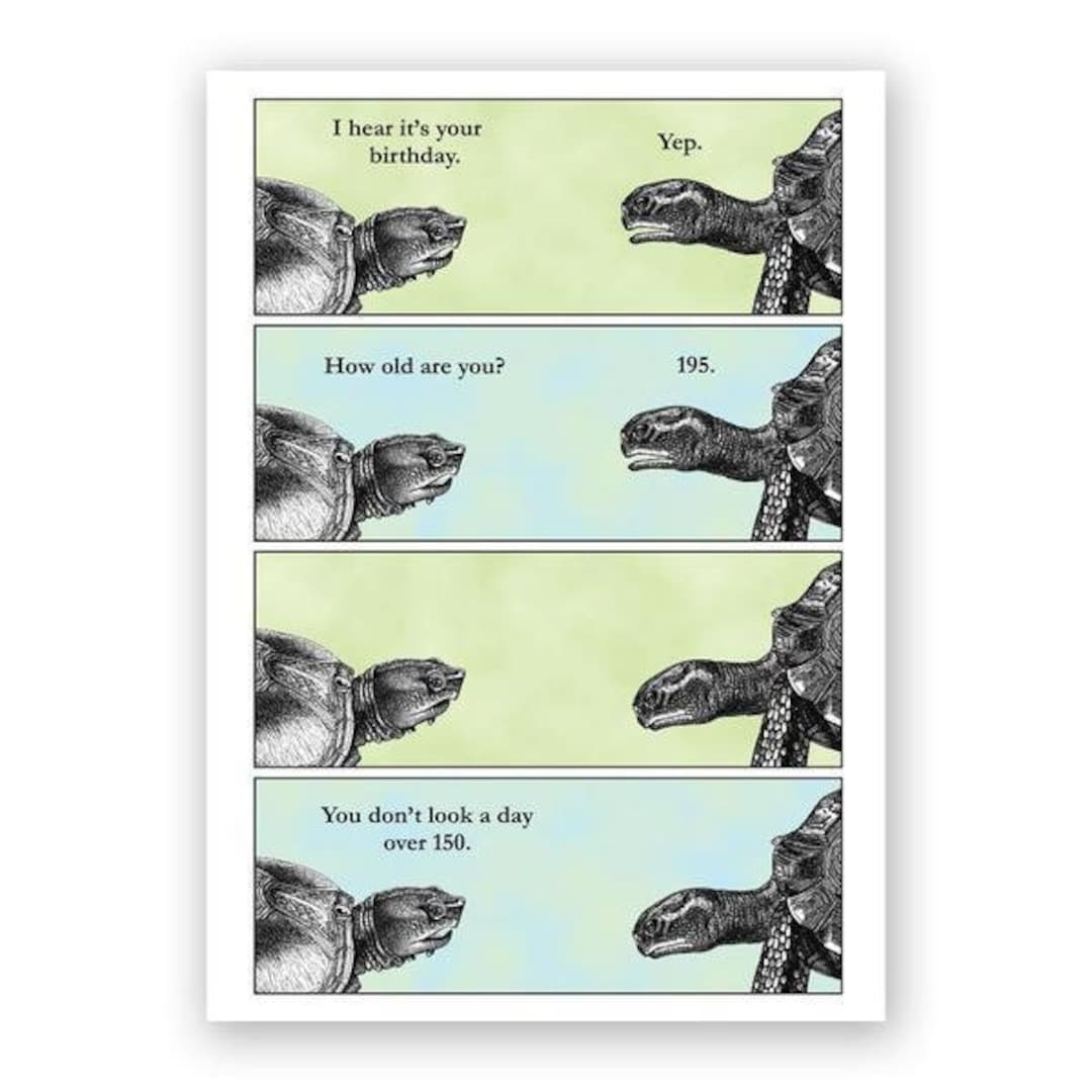 Turtle Birthday Card - Etsy