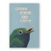 Troubled Bird Postcard Set of 50 Birds Animal Mincing Mockingbird - Etsy