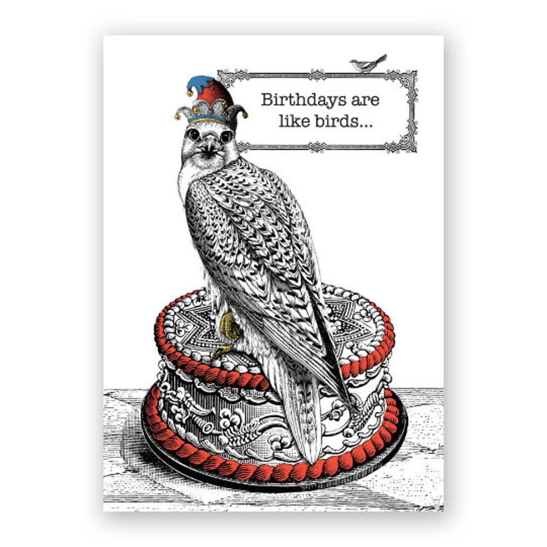 Birthdays Are Like Birds - Card - Falcon - Humor - Funny - Cake - Etsy