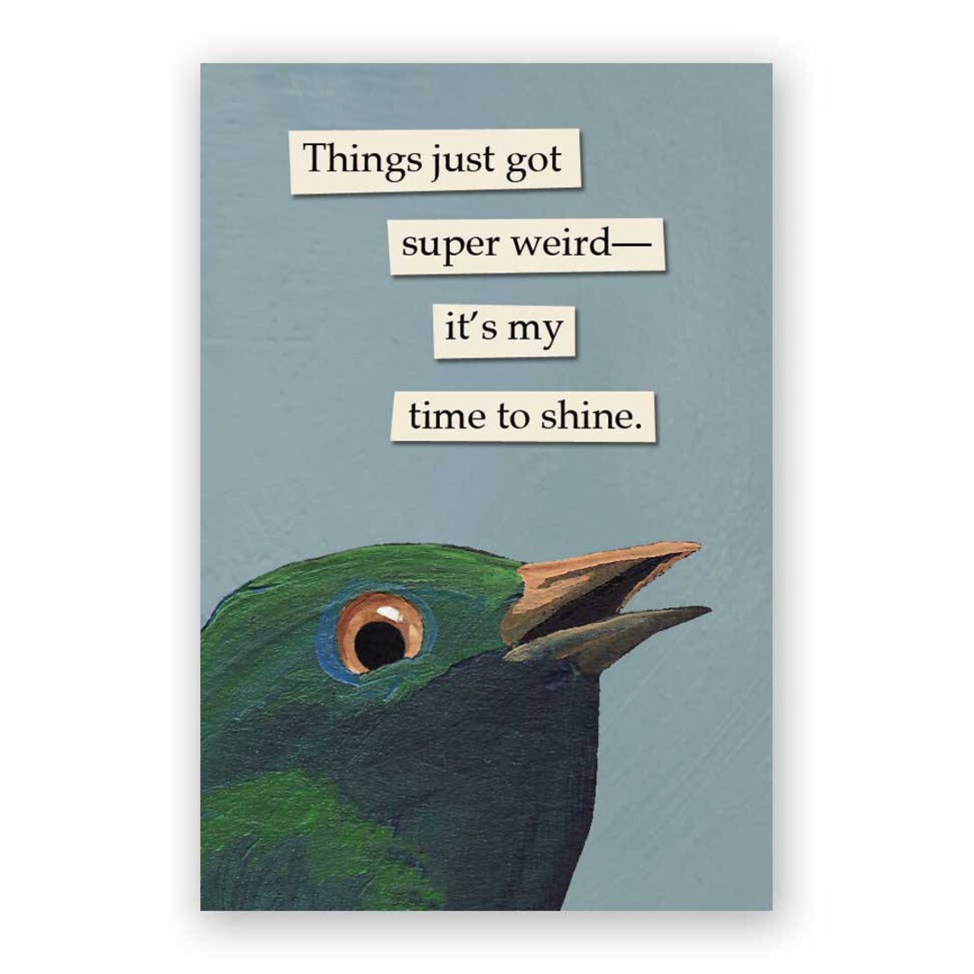 Things Just Got Super Weird Magnet - Bird - Humor - Gift - Stocking ...