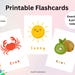 Printable Flashcards for Toddlers to Learn Weather, Animals and Fruits ...