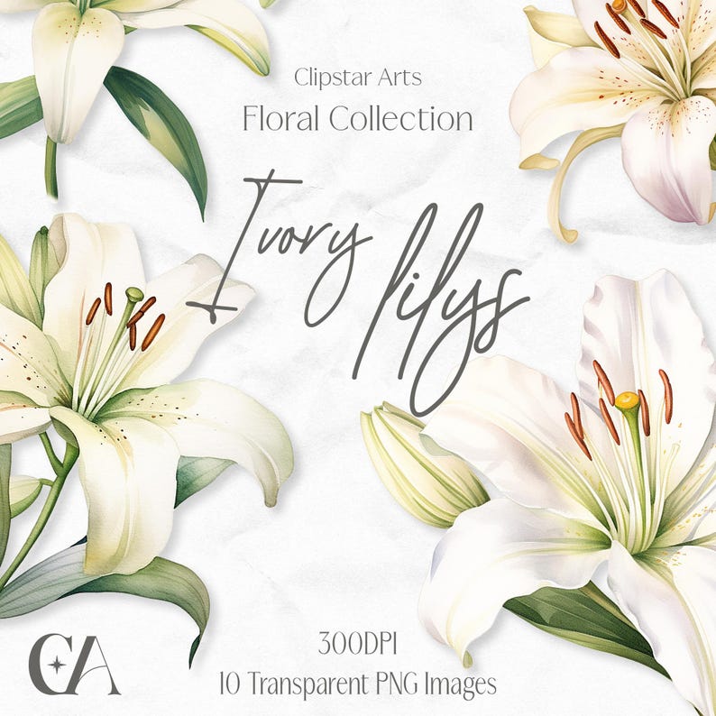 Ivory Lily Watercolor Clipart: Floral Digital Download (300DPI) - Etsy